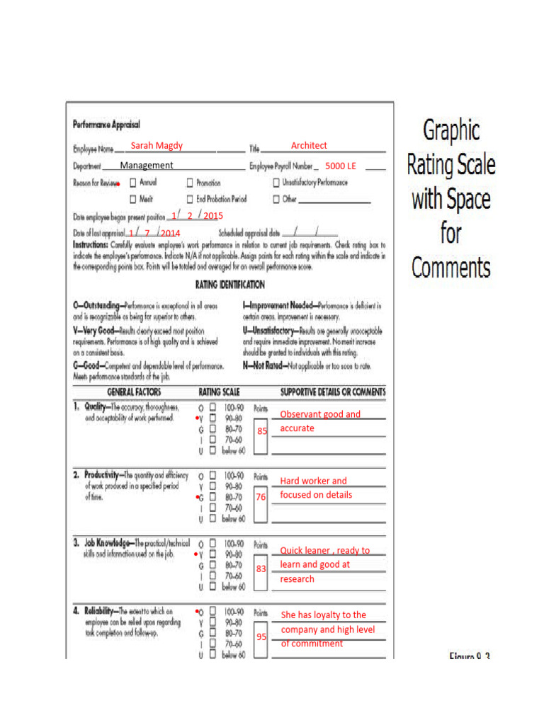 Performance Appraisal App - Sarah Magdy - HR15 | PDF