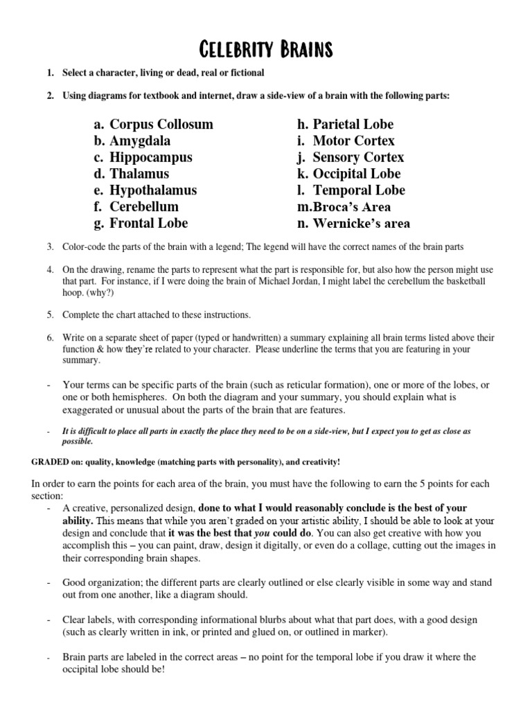 Activity-Celebrity Brains Directions Worksheet 2 | PDF | Human Brain ...