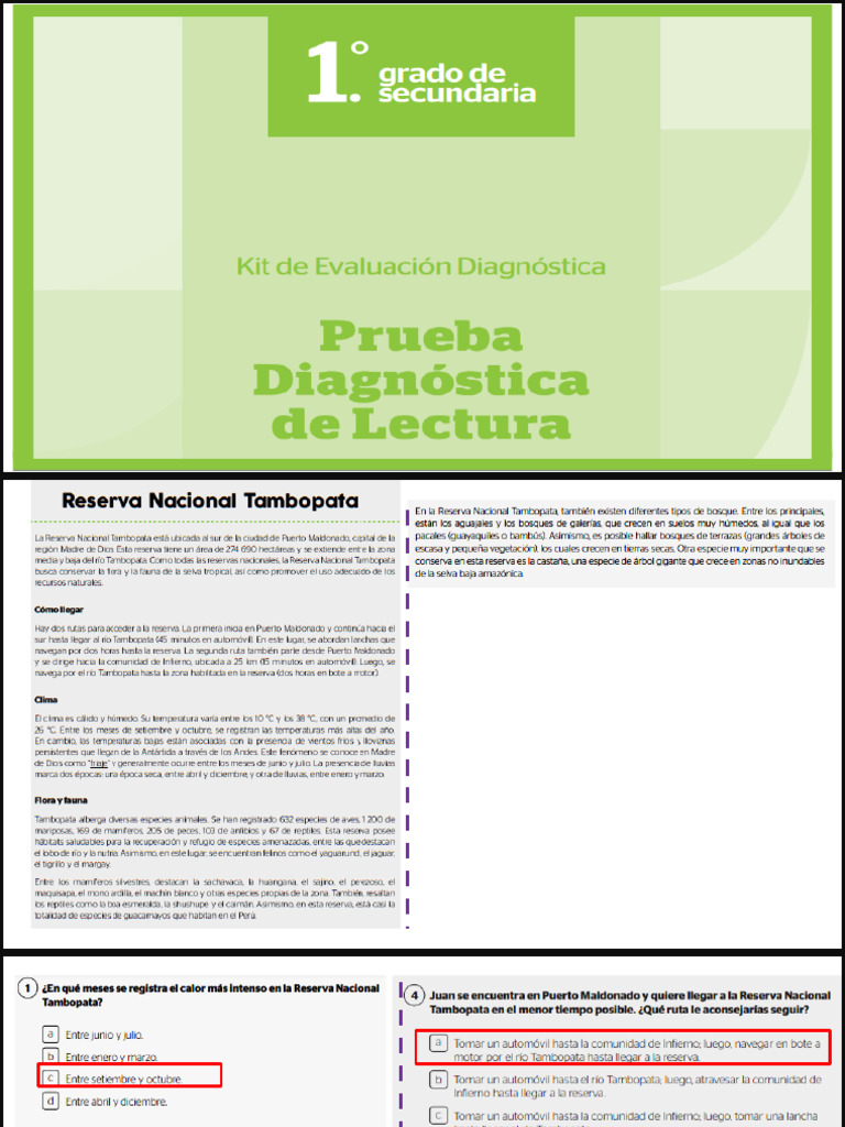 Prueba Diagnostica Lectura - 1sec | PDF