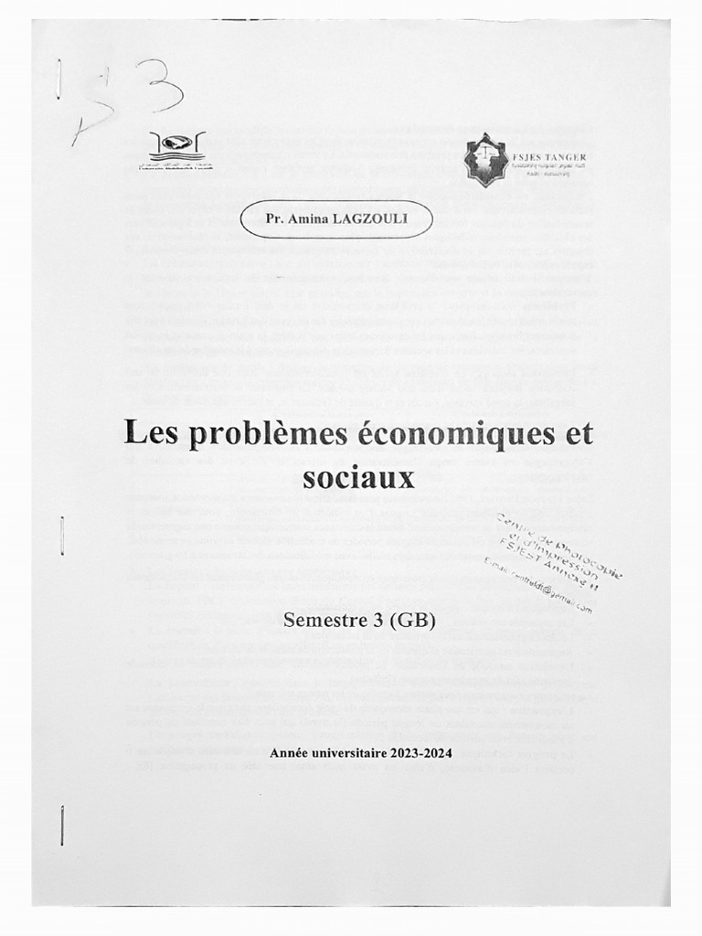 Les Problèmes Économiques S3 Prof Amina | PDF