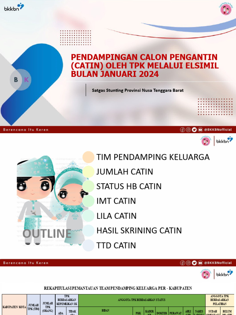 Analisis Pendampingan Catin 2024 | PDF