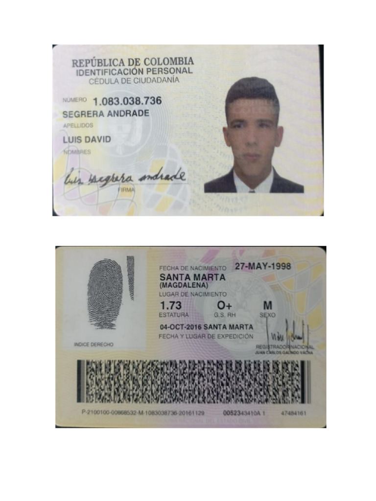 Documentos Luis Segrera | PDF | Documento de identidad | La seguridad informática
