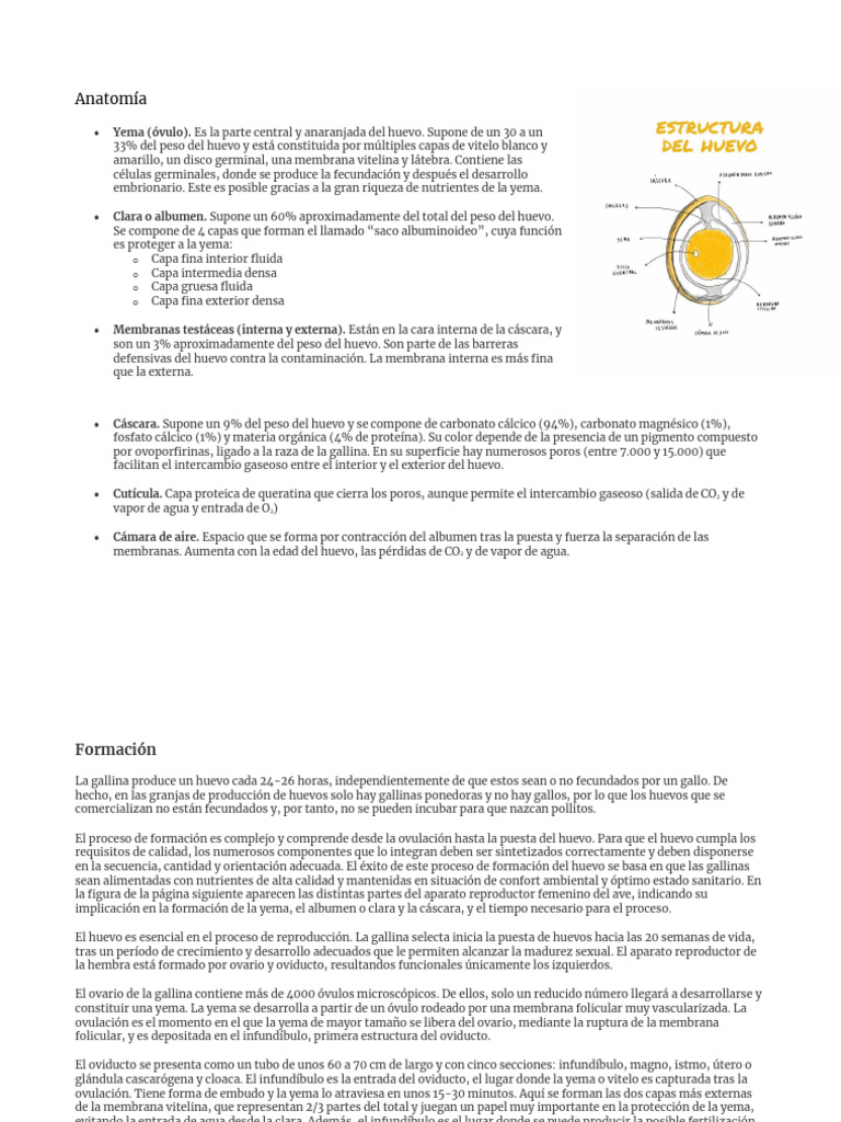 Anatomía y Estructura Del Huevo | Descargar gratis PDF | Huevo | Yema ...
