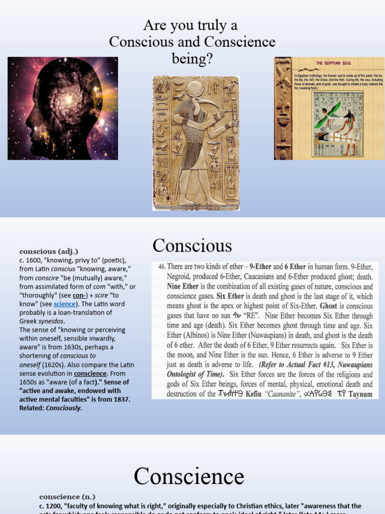 Are You a Conscious and Conscience Being | PDF | Consciousness | Mind