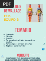 Regla de Wallace | PDF | Anatomía humana | Anatomía de los primates