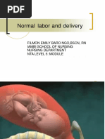 Midwifery Case Study: Normal Delivery | PDF | Childbirth | Pelvis