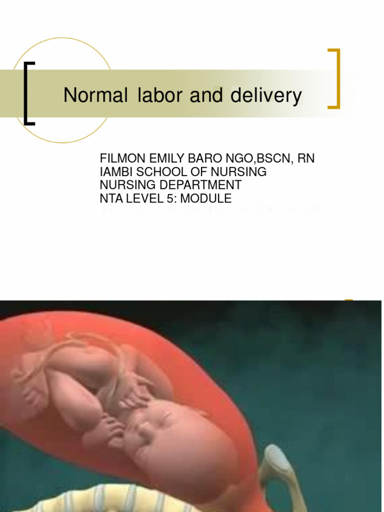 Normal Labour Summary | PDF | Childbirth | Uterus