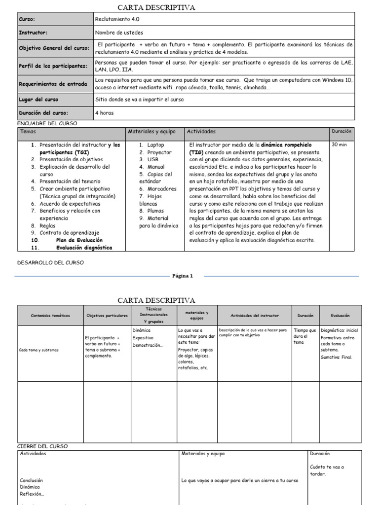 CARTA DESCRIPTIVA FORMATO NUEVO CON ENCUADRE Explicado | PDF