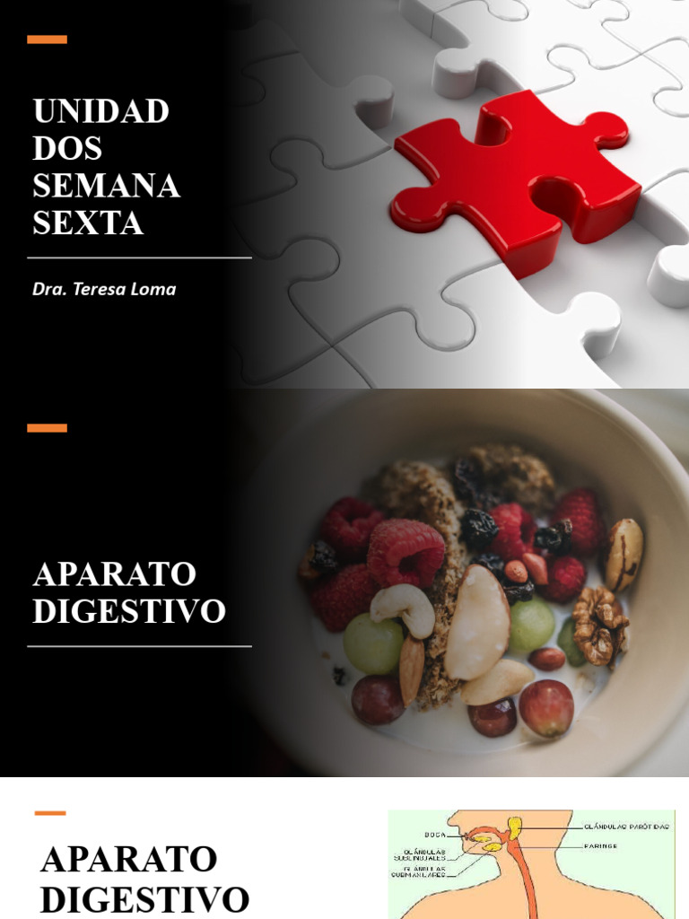 Bb. U2.s6 Digestivo y Excretor | PDF | Sistema digestivo humano | Riñón