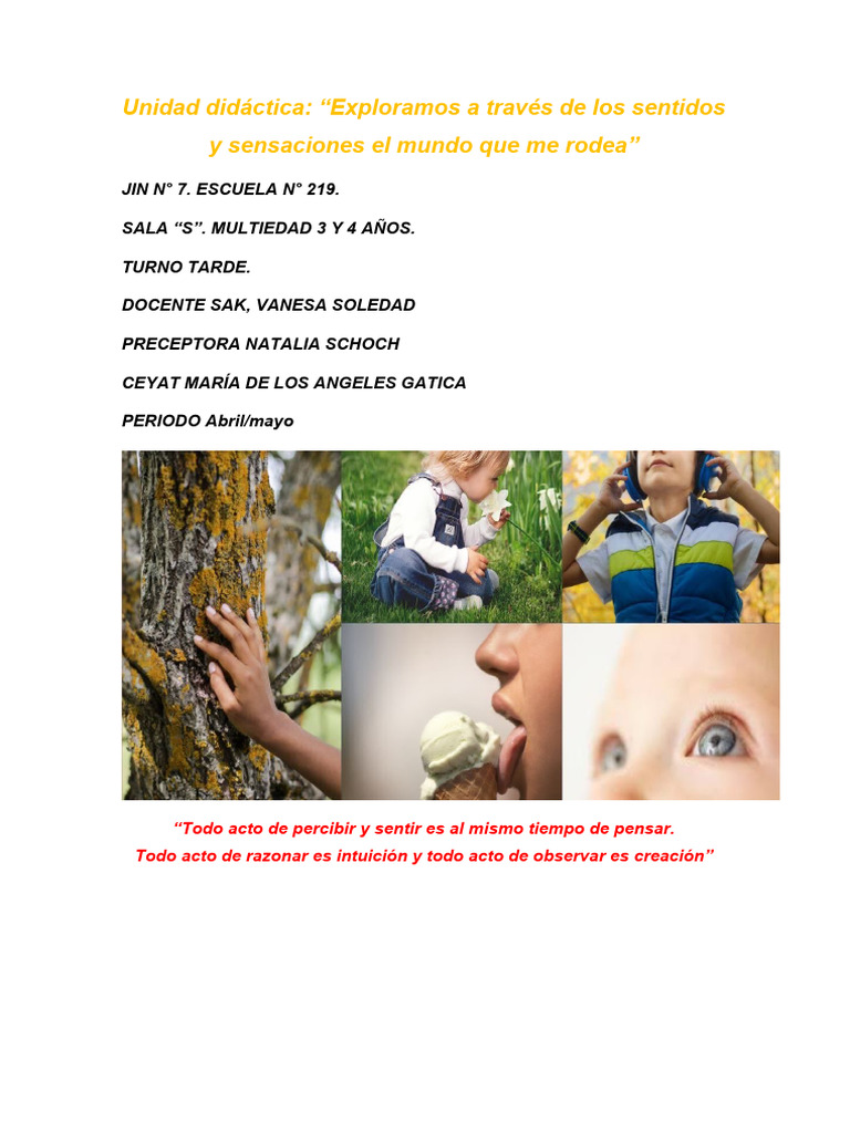 Unidad Didactica Los Sentidos | PDF | Percepción | Sentidos