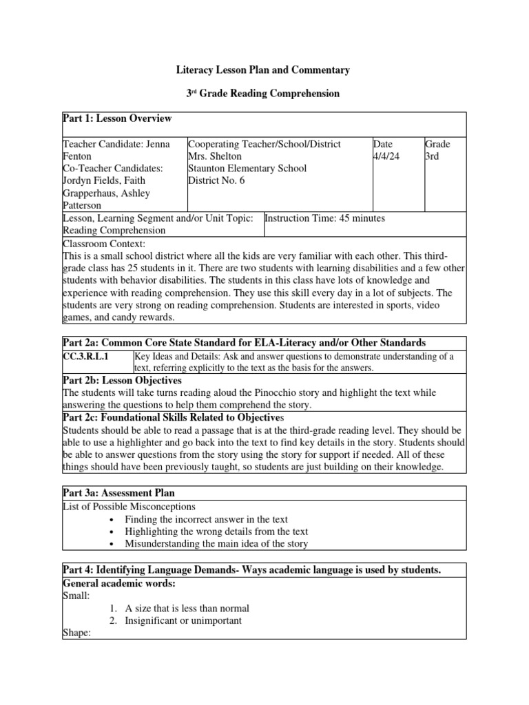 Literacy Lesson Plan and Commentary | PDF | Reading Comprehension | Verb