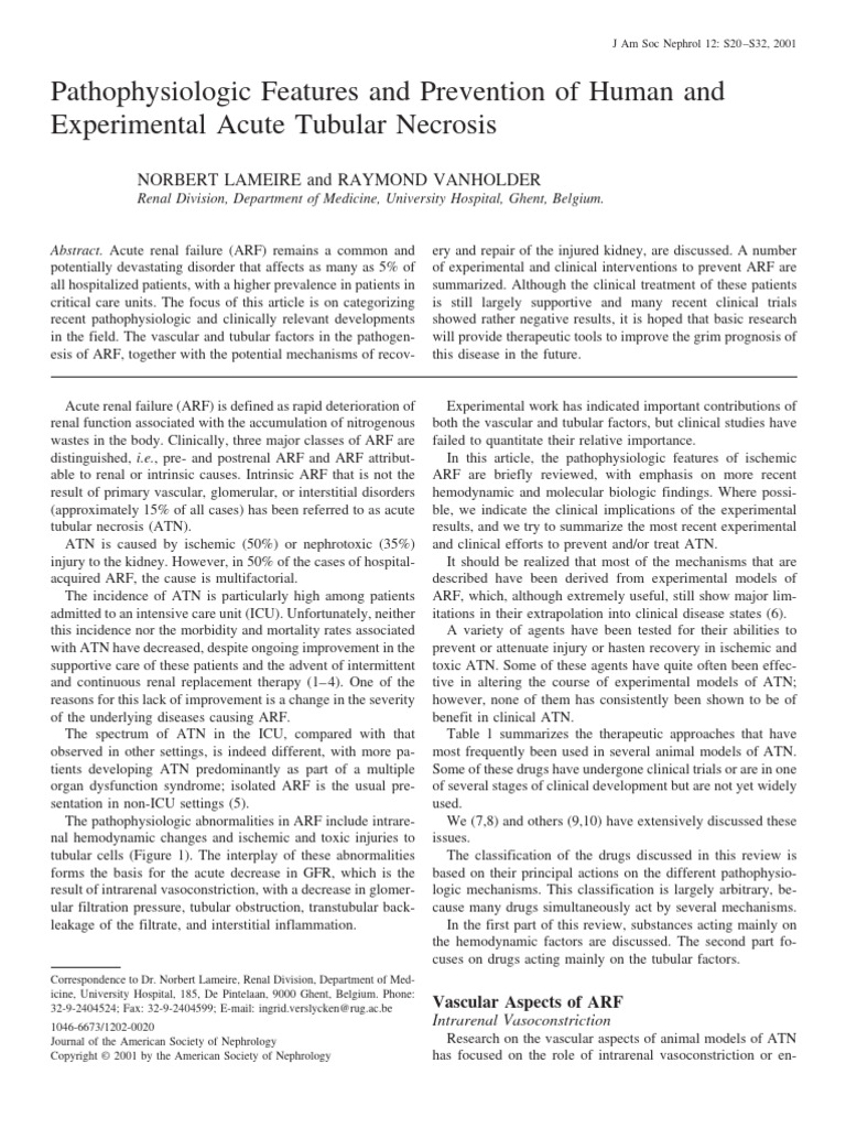 ANT 2 S20.full | PDF | Cell Membrane | Kidney