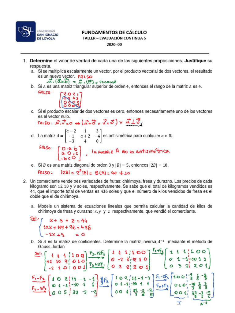 Taller EC5 FC 2020 00 | PDF | Matriz (Matemáticas) | Vector Euclidiano