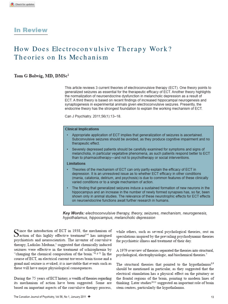 How Does ECT Work? 2011 | PDF | Electroconvulsive Therapy | Hippocampus