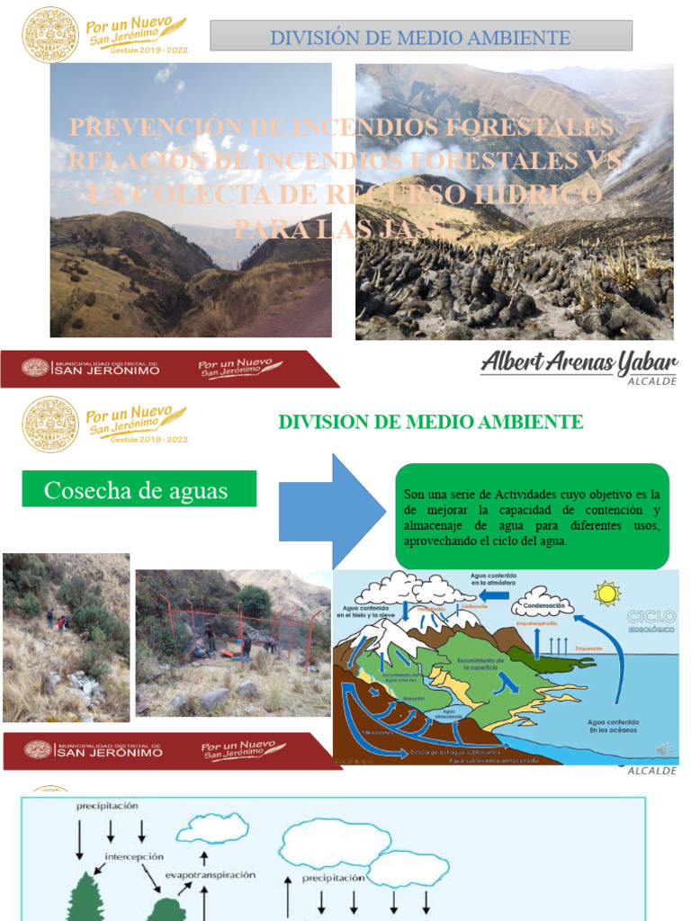 Diapositivas para La Jass en Prevencion de Incedios Forestalles. | PDF | Fuego fatuo | Los bosques