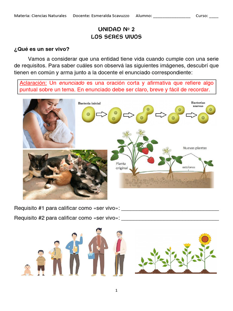 Ciencias Naturales - Unidad 2 - Los Seres Vivos | PDF | Compost