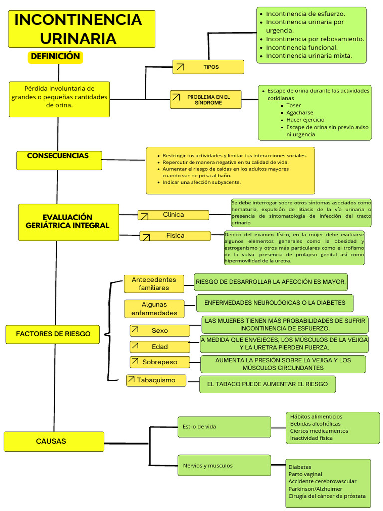 Tipos y Consecuencias de Incontinencia Urinaria | PDF | Especialidades ...