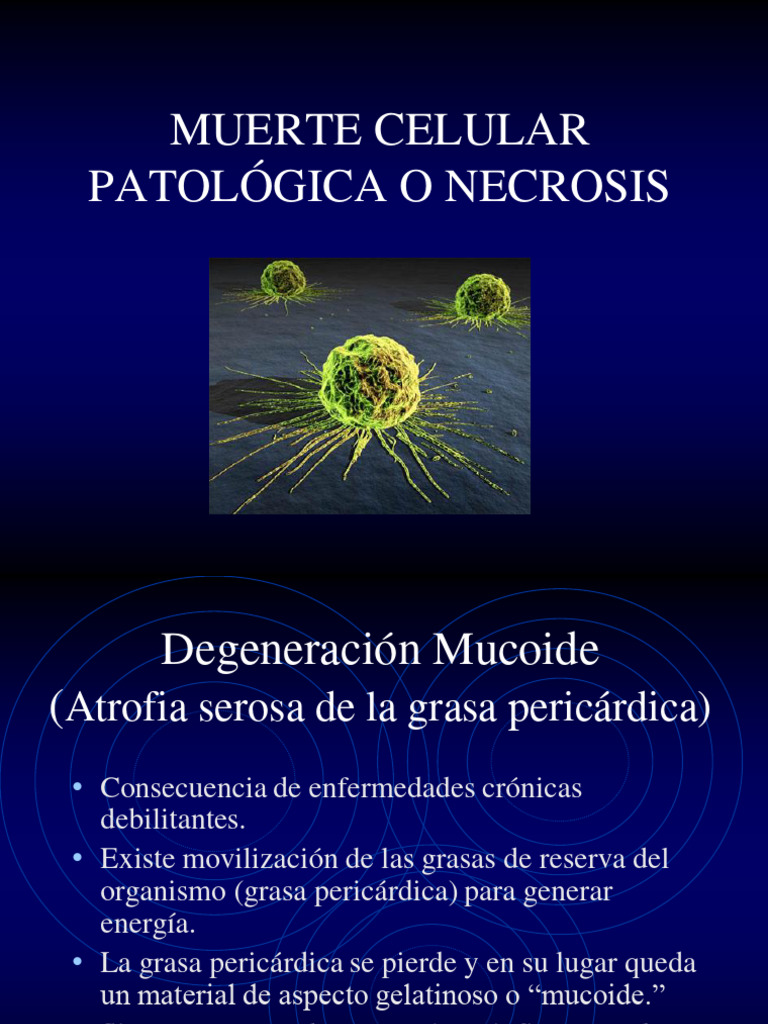 MUERTE CELULAR PATOLOGICA O NECROSIS E Morales | PDF | Biología Celular ...