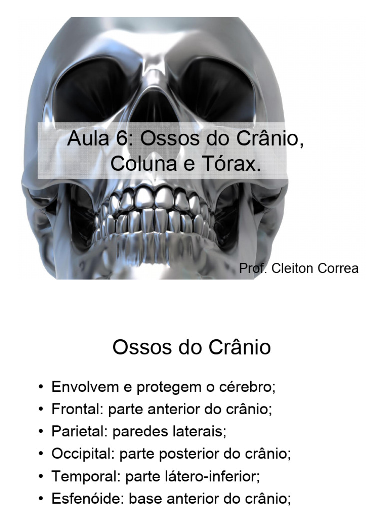 Aula 6 Crânio, Tronco e Tórax, Ossos | PDF | Coluna vertebral | Crânio