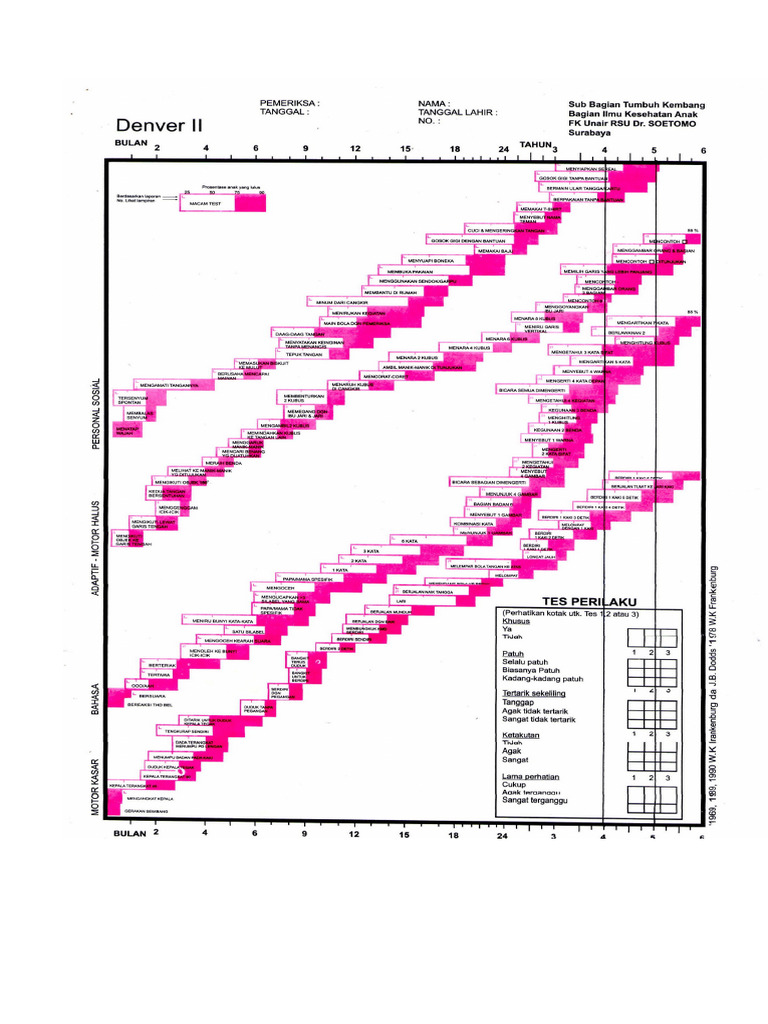 4c - Blanko DDST | PDF