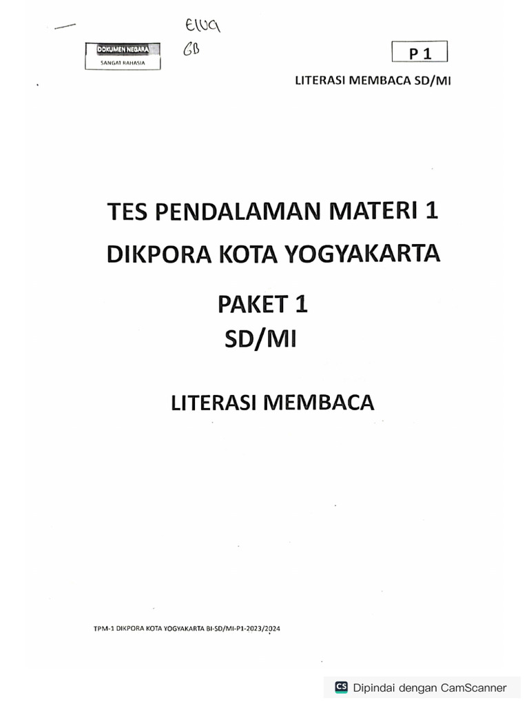 TPM 1 Literasi Membaca | PDF