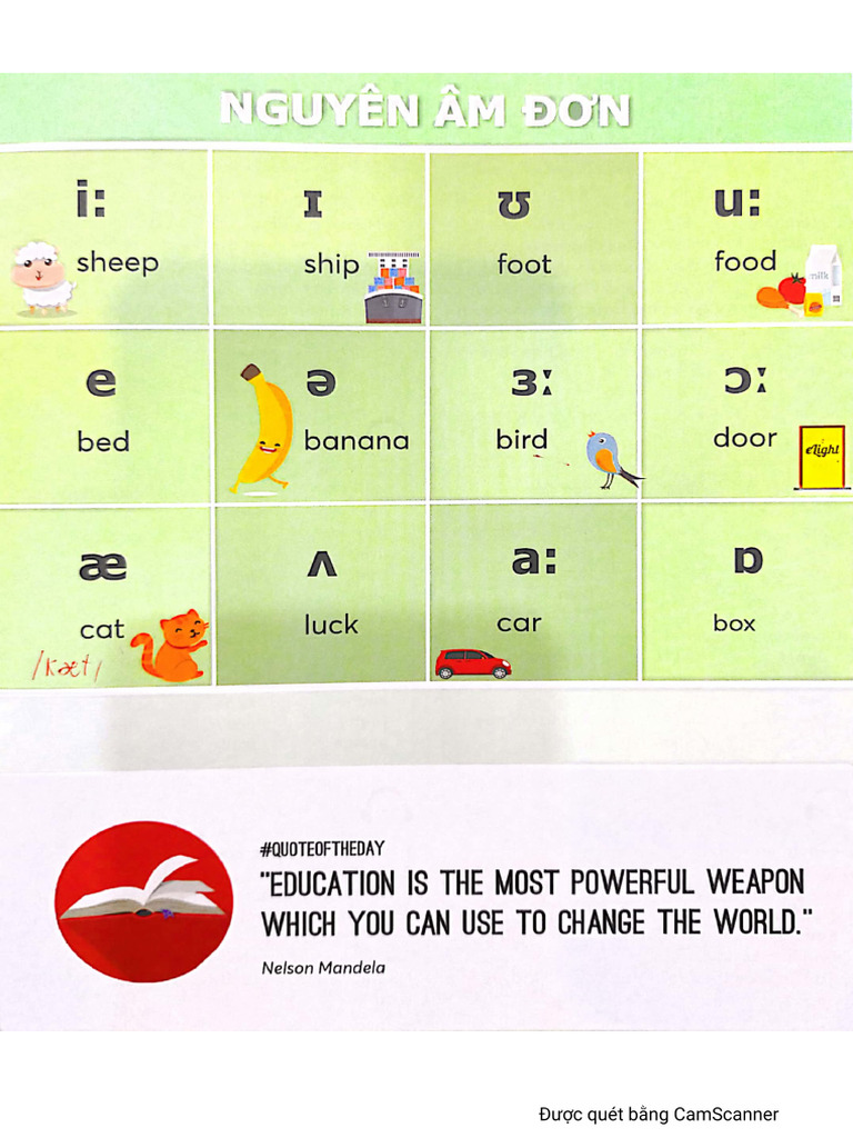 Nguyên Âm Đơn | PDF