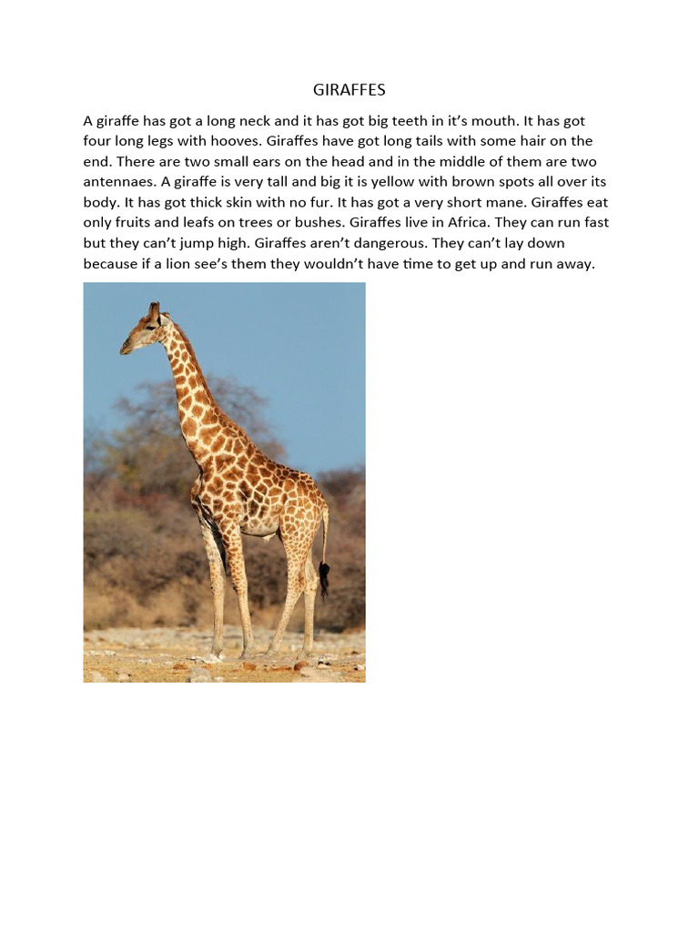 Giraffe Characteristics and Habitat | PDF | Language Arts & Discipline