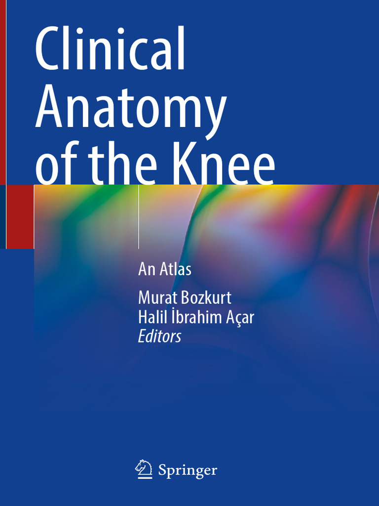 Clinical Anatomy of the Knee 2021 | PDF | Knee | Anatomical Terms Of Location