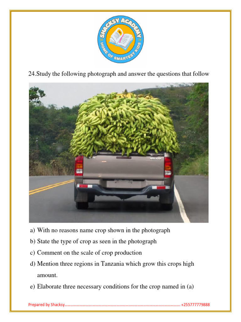 PHOTO 24. by Shacksy | PDF