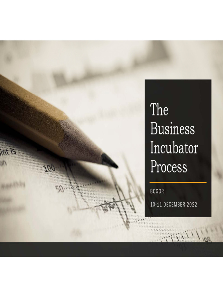 The Business Incubator Process | PDF | Bisnis