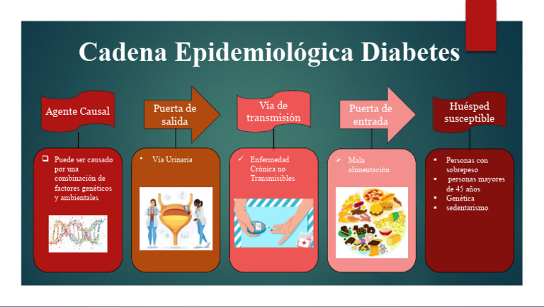 Cadena Epidemiológica Diabetes | PDF