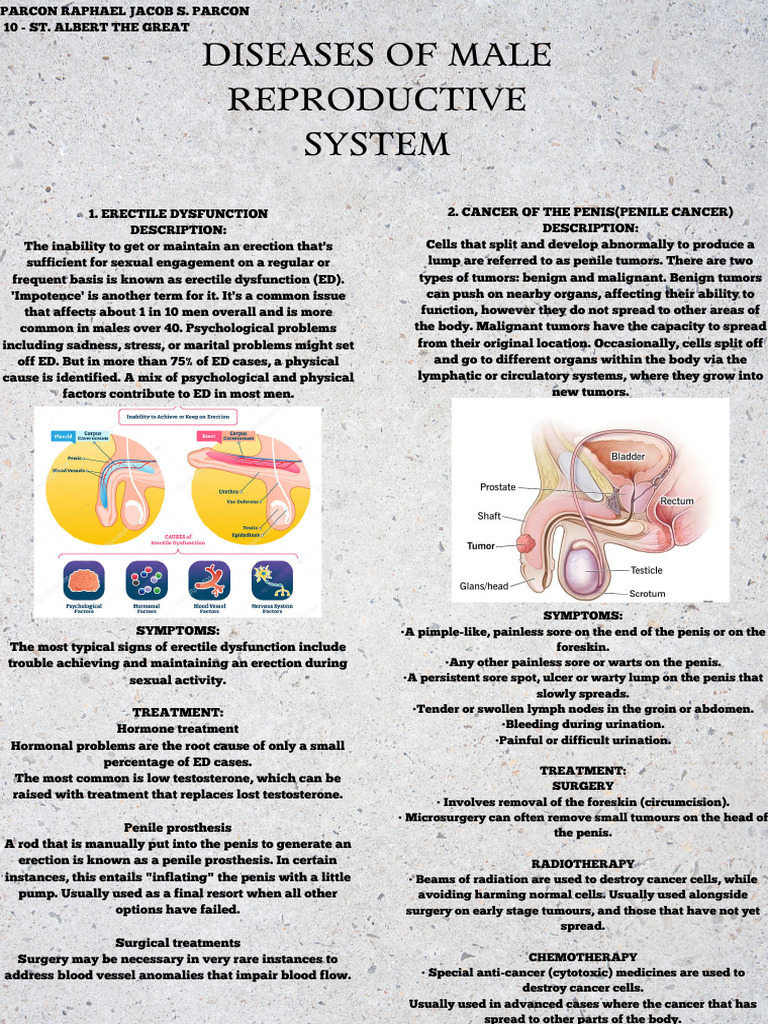Disorders of Male Reproductive System - 20240204 - 230027 - 0000 | PDF ...