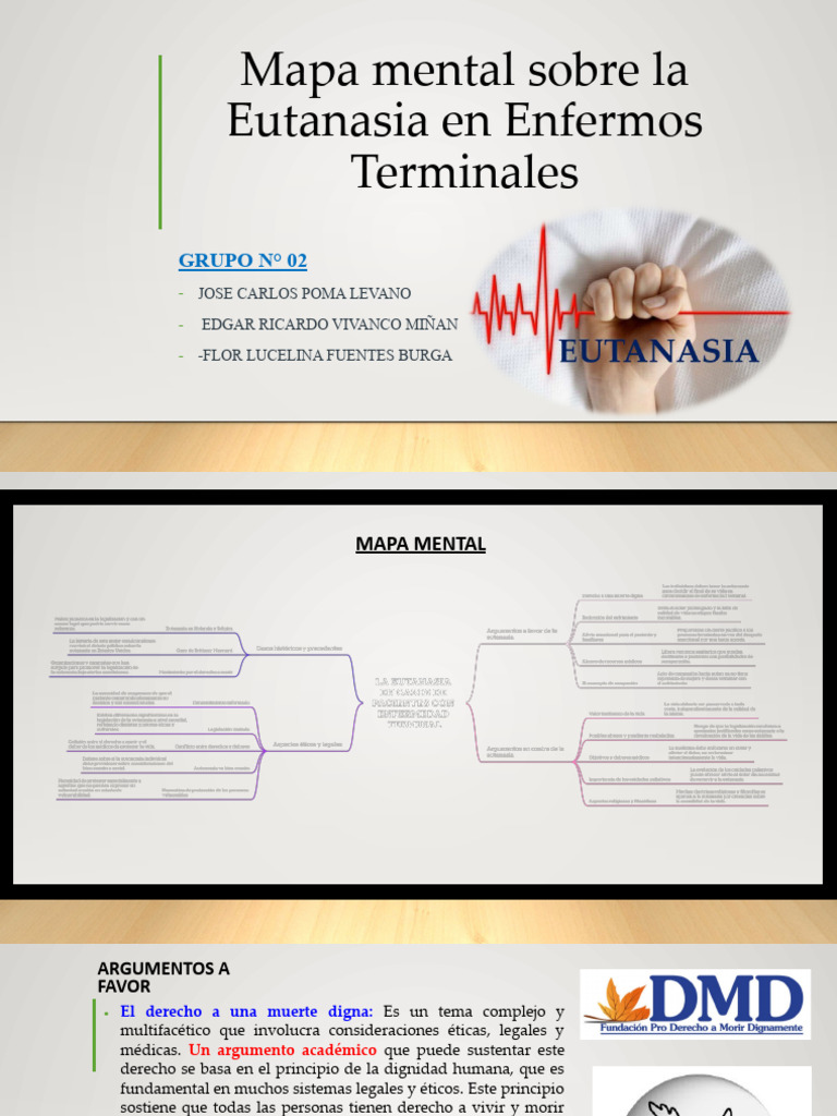 Grupo 2 - Mapa Mental Sobre La Eutanasia en Enfermos Terminales (1) | PDF