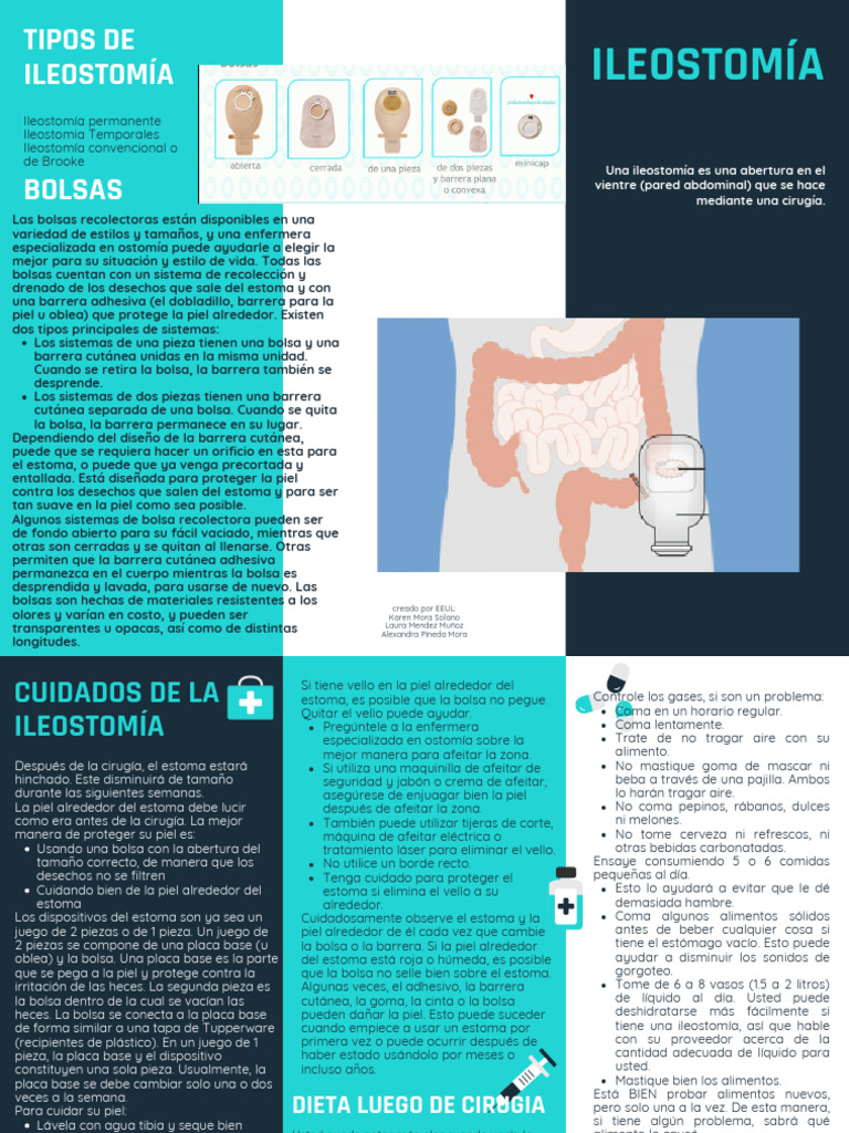 Guía de Cuidado para Ileostomía | PDF | Afeitado | Alimentos