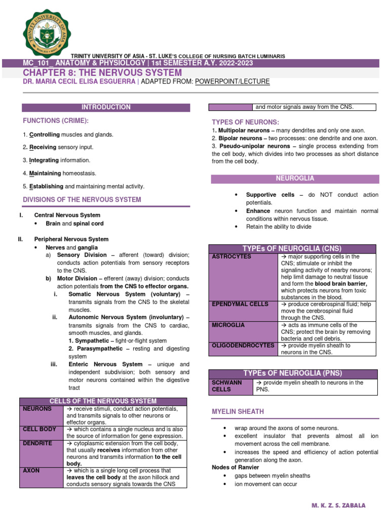 Chap8 Nervous Transes-1-1 | PDF | Neuron | Axon