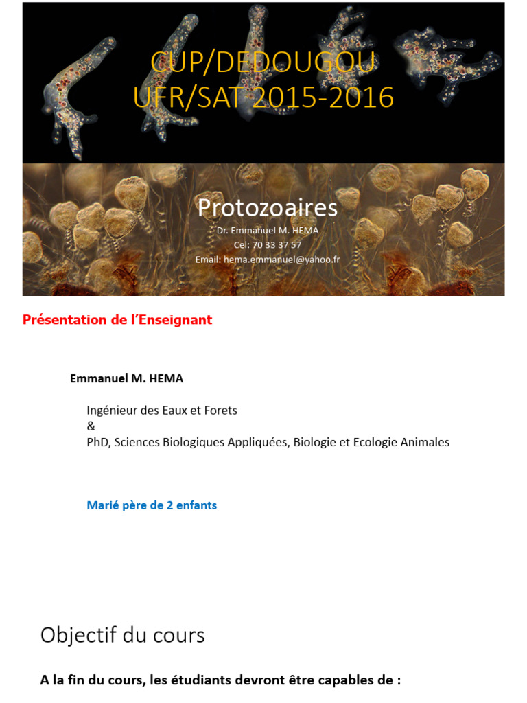 Classification et Morphologie des Protozoaires | PDF | Cellule ...