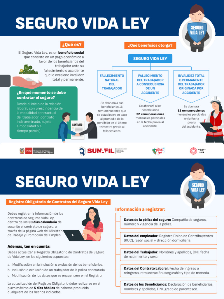 Infografia - Seguro de Vida Ley (1000) | PDF | Póliza de seguros | Seguro