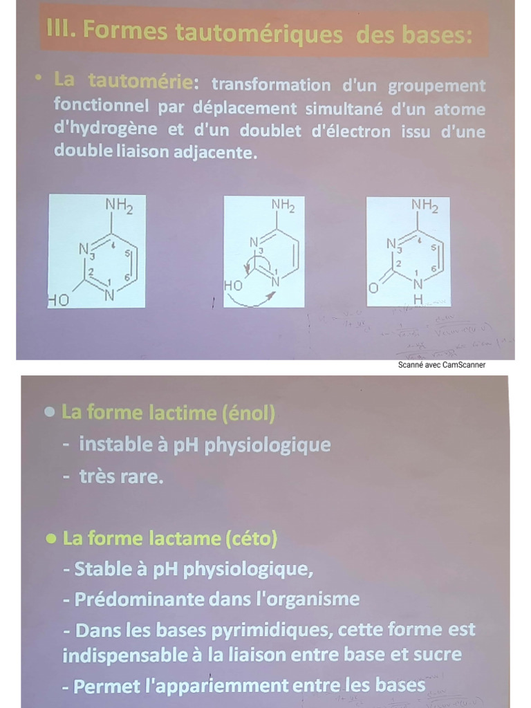 4 Cour B.moléculaire - Taleb | PDF
