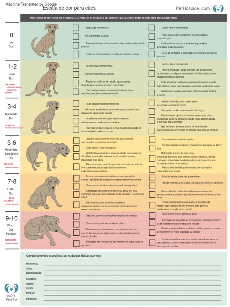 BEAP Pain Scale For Dogs | PDF | Dor | Doenças e distúrbios