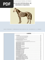 Aula 01 - EIXOS E PLANOS | PDF | Pé | Anatomia