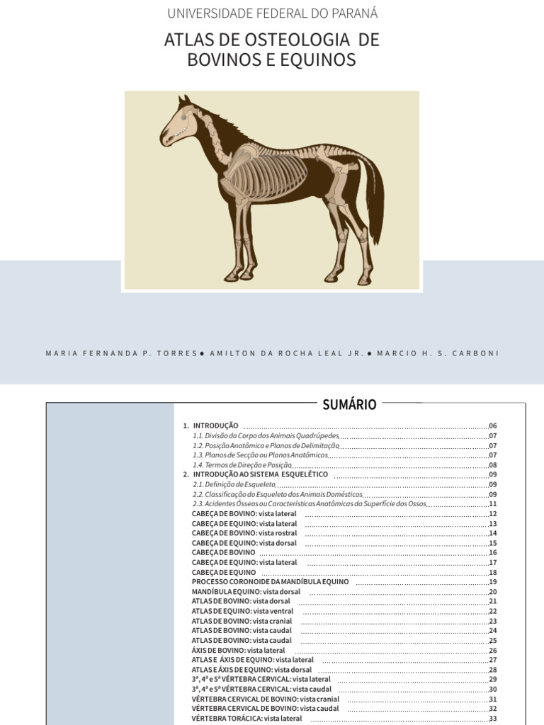 Atlas de Osteologia - Bovinos e Equinos | PDF | Coluna vertebral | Anatomia