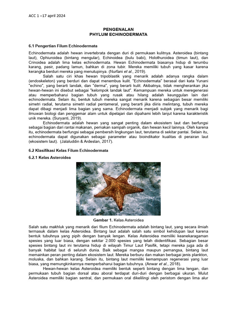 Moh. Ridho M Pengenalan Echinodermata | PDF | Sains & Matematika