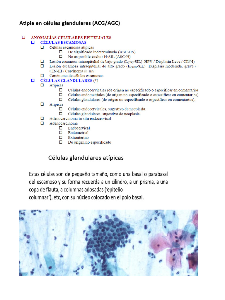 Atipia en Células Glandulares: Diagnóstico y Características | PDF ...