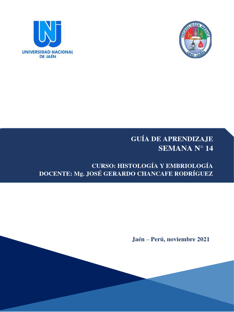Guía de Aprendizaje N°14 - Histol | PDF | Ovario | Labios