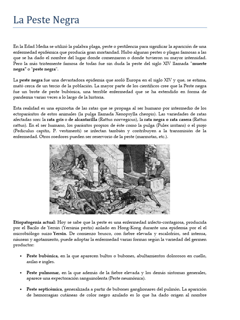 La Peste Negra en Europa Medieval | PDF | Muerte negra | Peste (enfermedad)