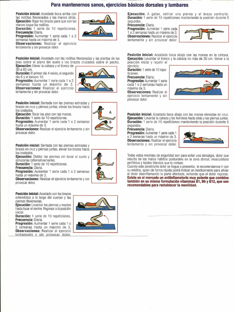 Ejercicios Basicos Dorsales y Lumbares | PDF