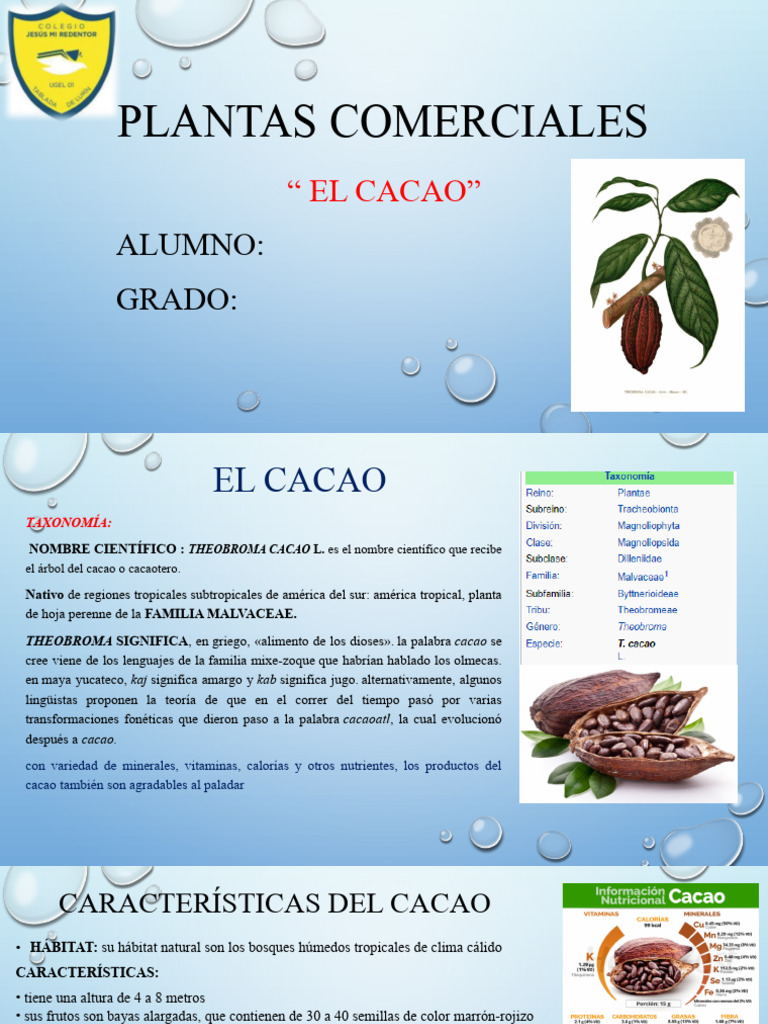 PLANTAS COMERCIALES Final | PDF