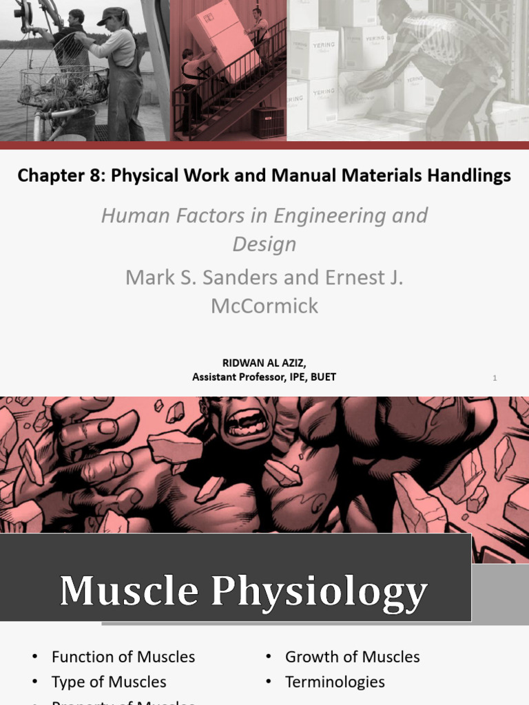 Physical Workload | Download Free PDF | Skeletal Muscle | Heart Rate