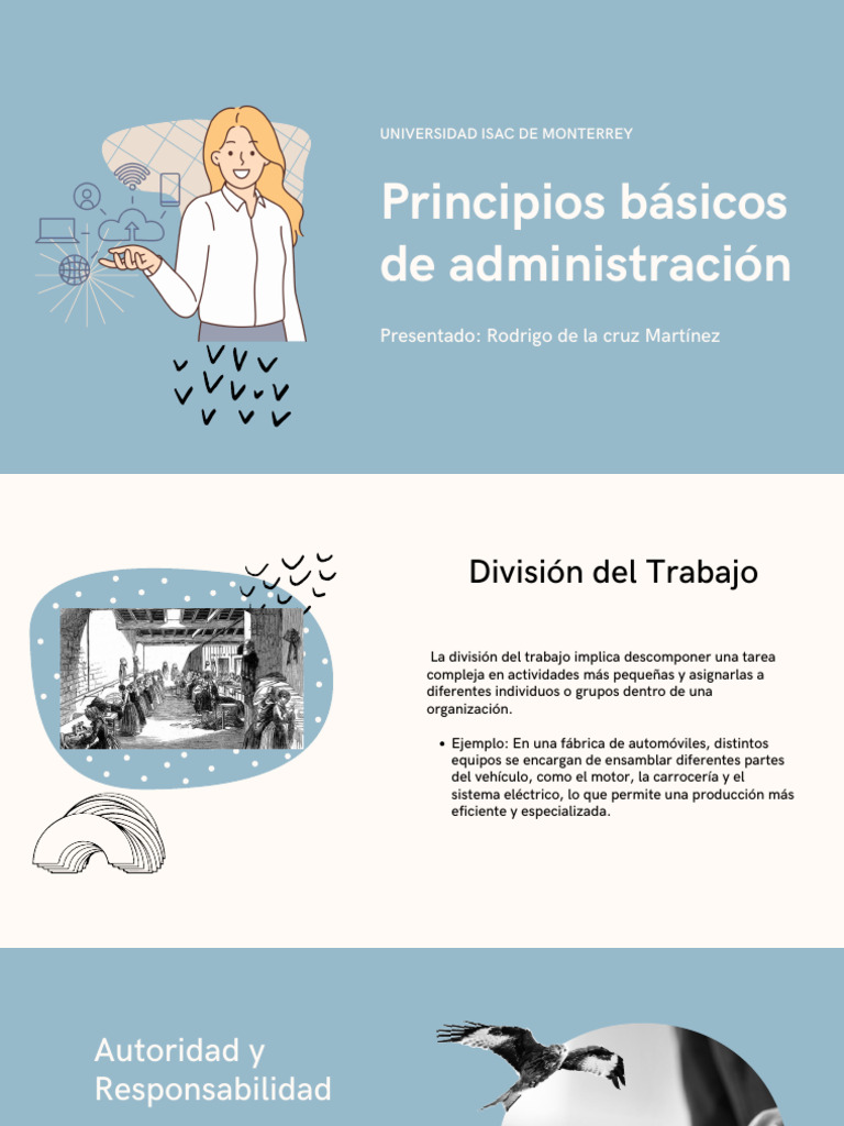 Fundamentos de La Administracion Principios Basicos | PDF | Business | Salario