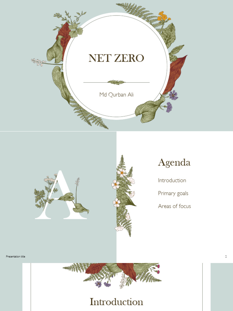 Net Zero Pdf Climate Change Mitigation Climate Change